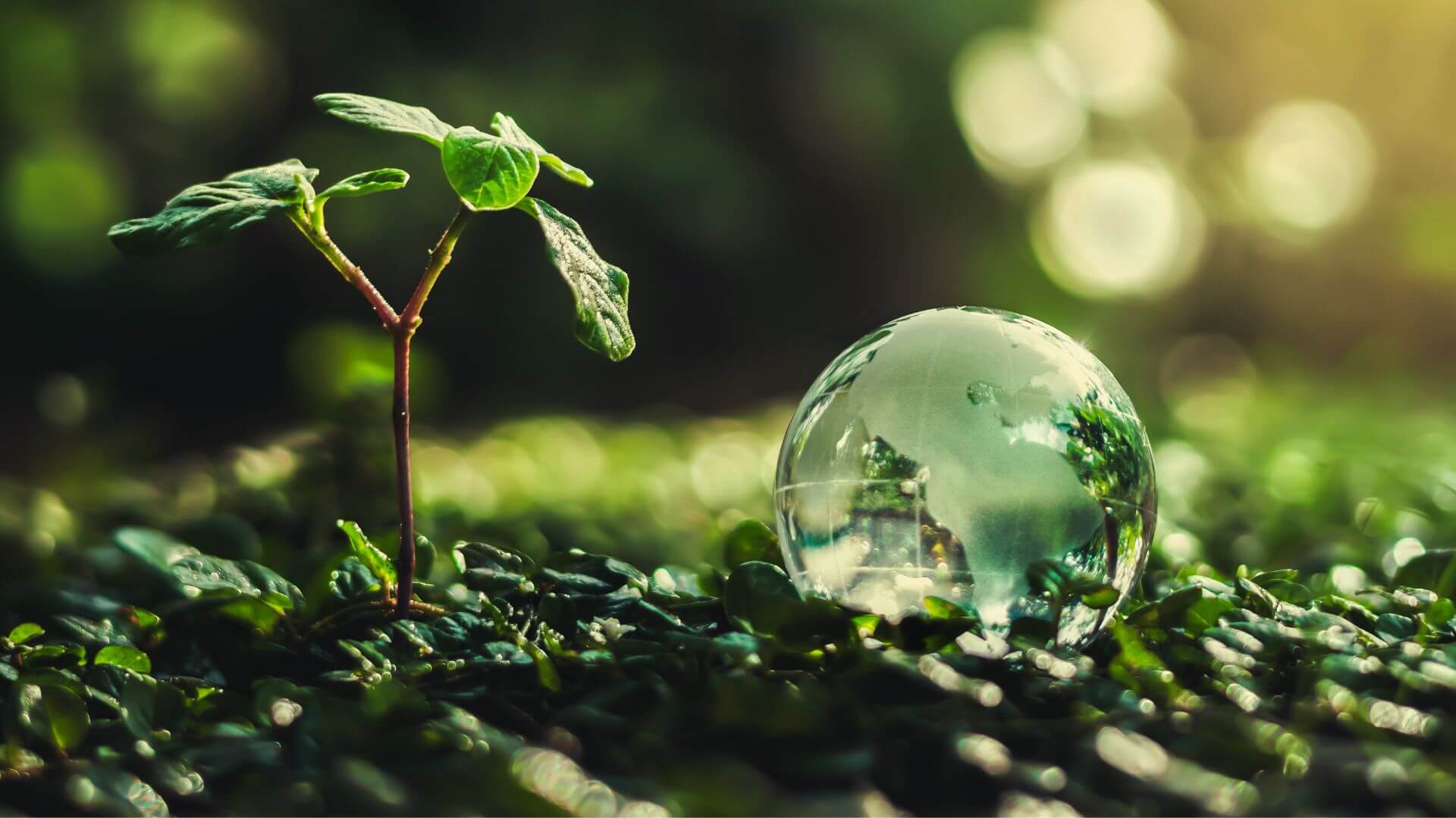 Approach - ESI Group