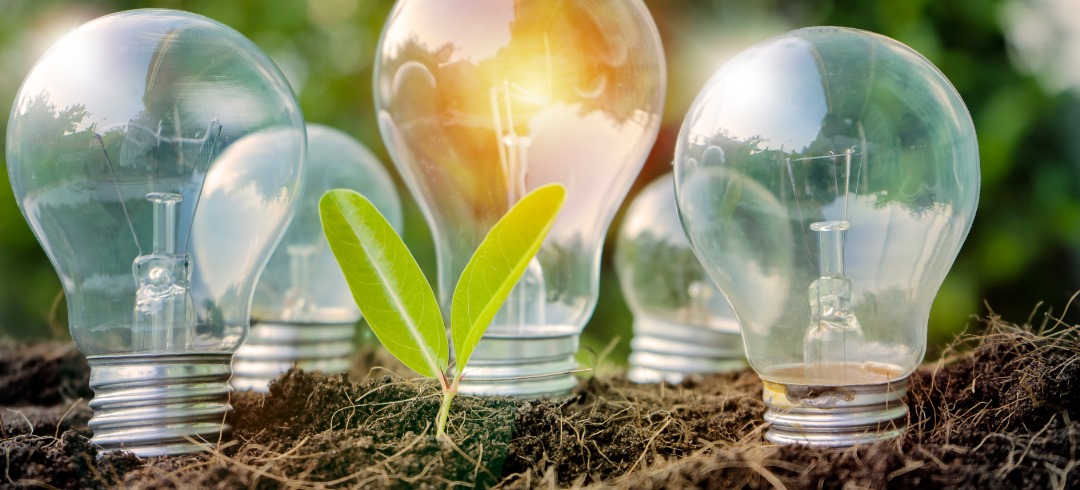 Renewable Energy & Saving - ESI Group